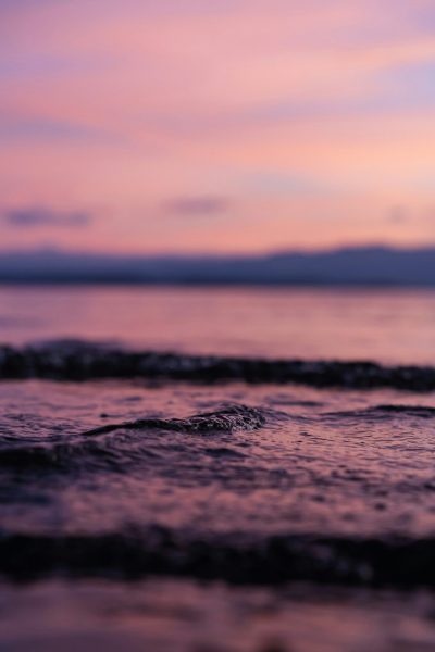 Alfred Adler's Teleology Theory